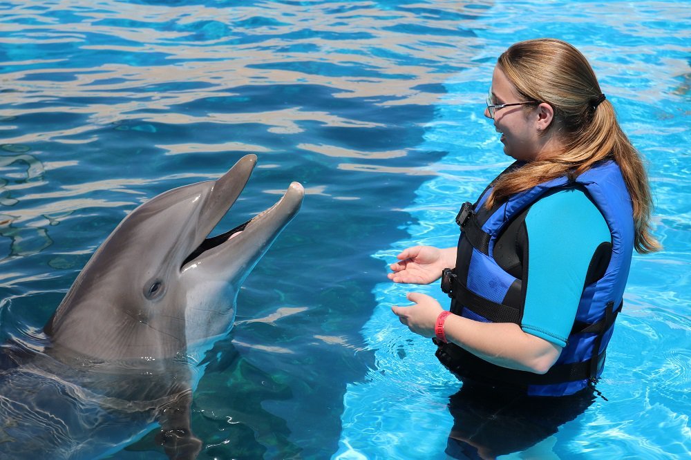 VIP Trainer for a Day at Gulfarium Marine Adventure Park | Discover 30A ...